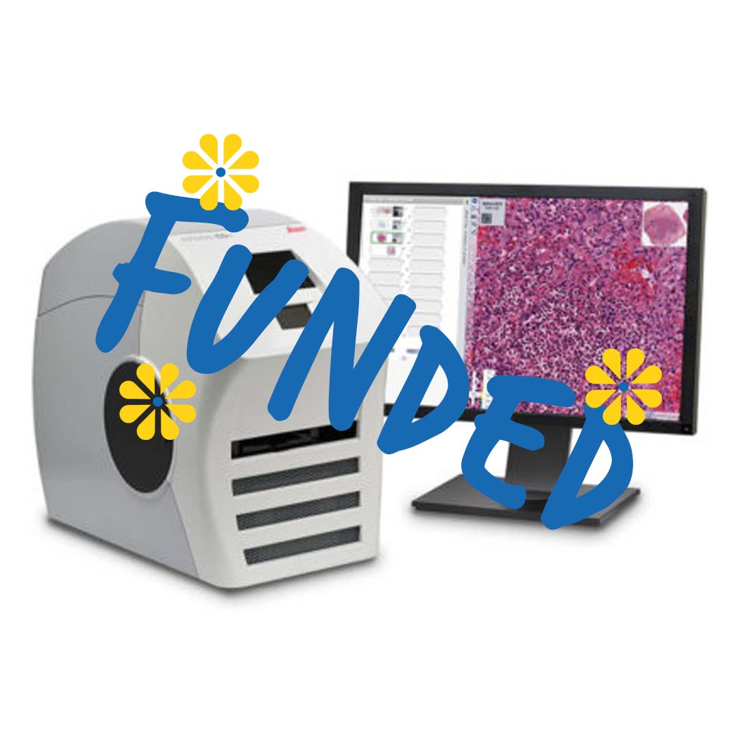 Digital Pathology Slide Scanner – £65,000 towards £130,681 – Hampshire ...